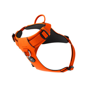 Training Anti Pull TRI-Harness® | M-XL Breeds - Orange – BullyBillows