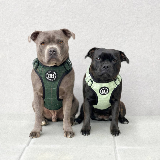 Premium Comfort Herringbone Harness | Non Restrictive & Adjustable - E ...