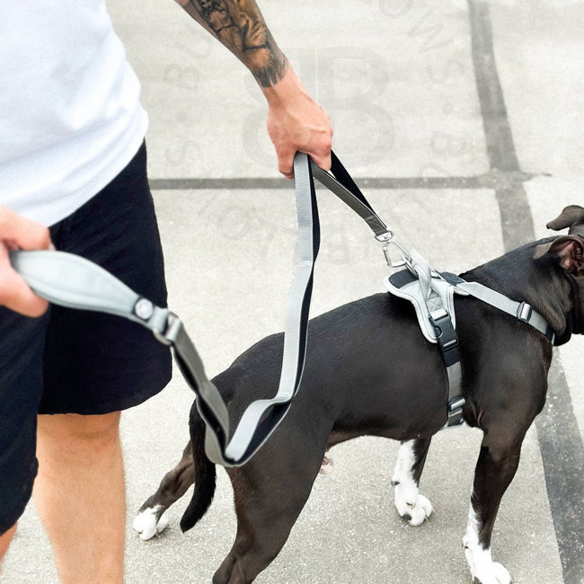 Ladder Lead - Multiple Handles - Teal – BullyBillows