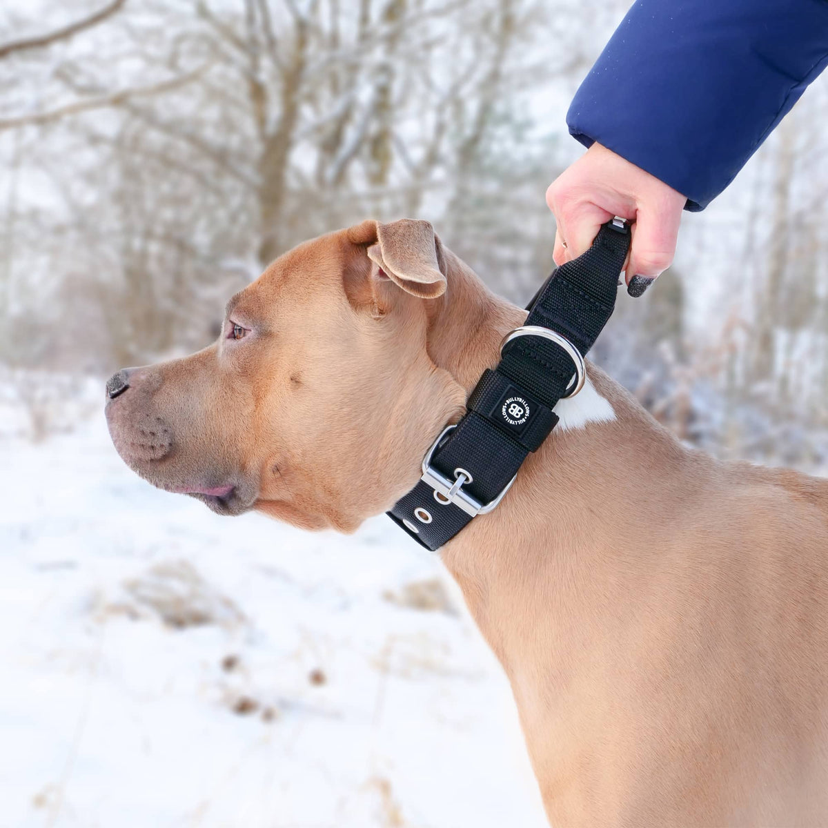 4cm Pin Buckle Collar | With Handle - Pink – BullyBillows