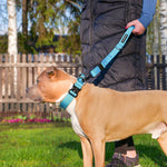 Adjustable Combat® Traffic Lead | Close Control - Turquoise – BullyBillows