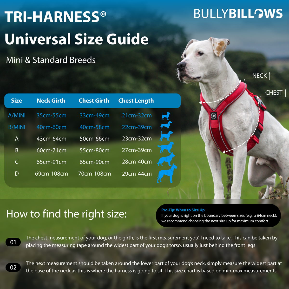 Anti-Pull TRI-Harness® | Training Dog Harness for All Breeds - Tan ...