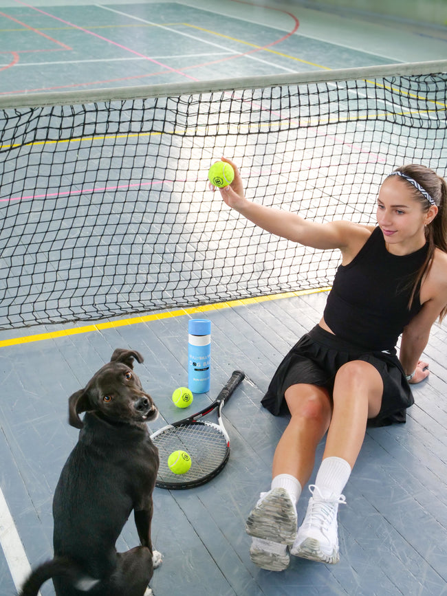 Dog Tennis Balls – BullyBillows