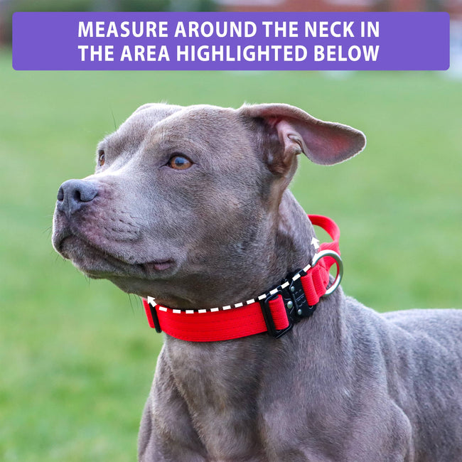 2.5cm Combat® Collars – BullyBillows